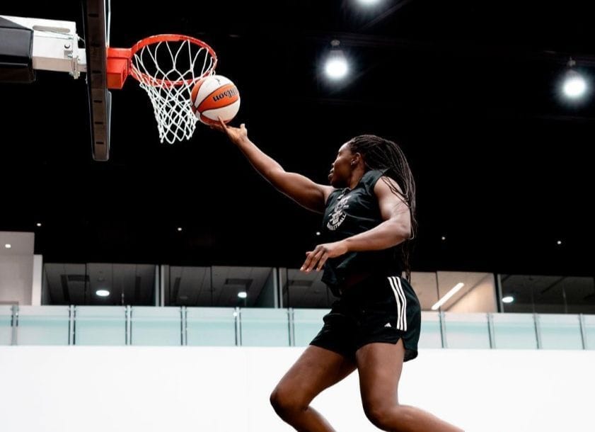Top 5 WNBA Players of all time who played for Duke Blue Devils ft ...