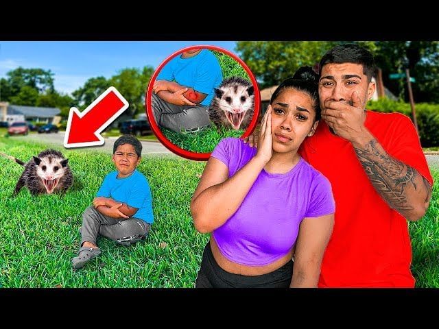 Who is The Trench Family?