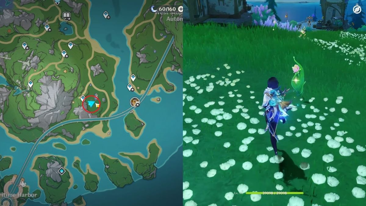 Teyvat products with green leaves in Genshin Impact: Locations and how ...