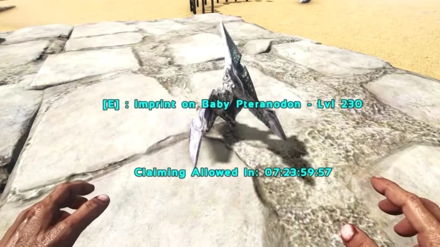 Ark Survival Ascended: How to hatch eggs?