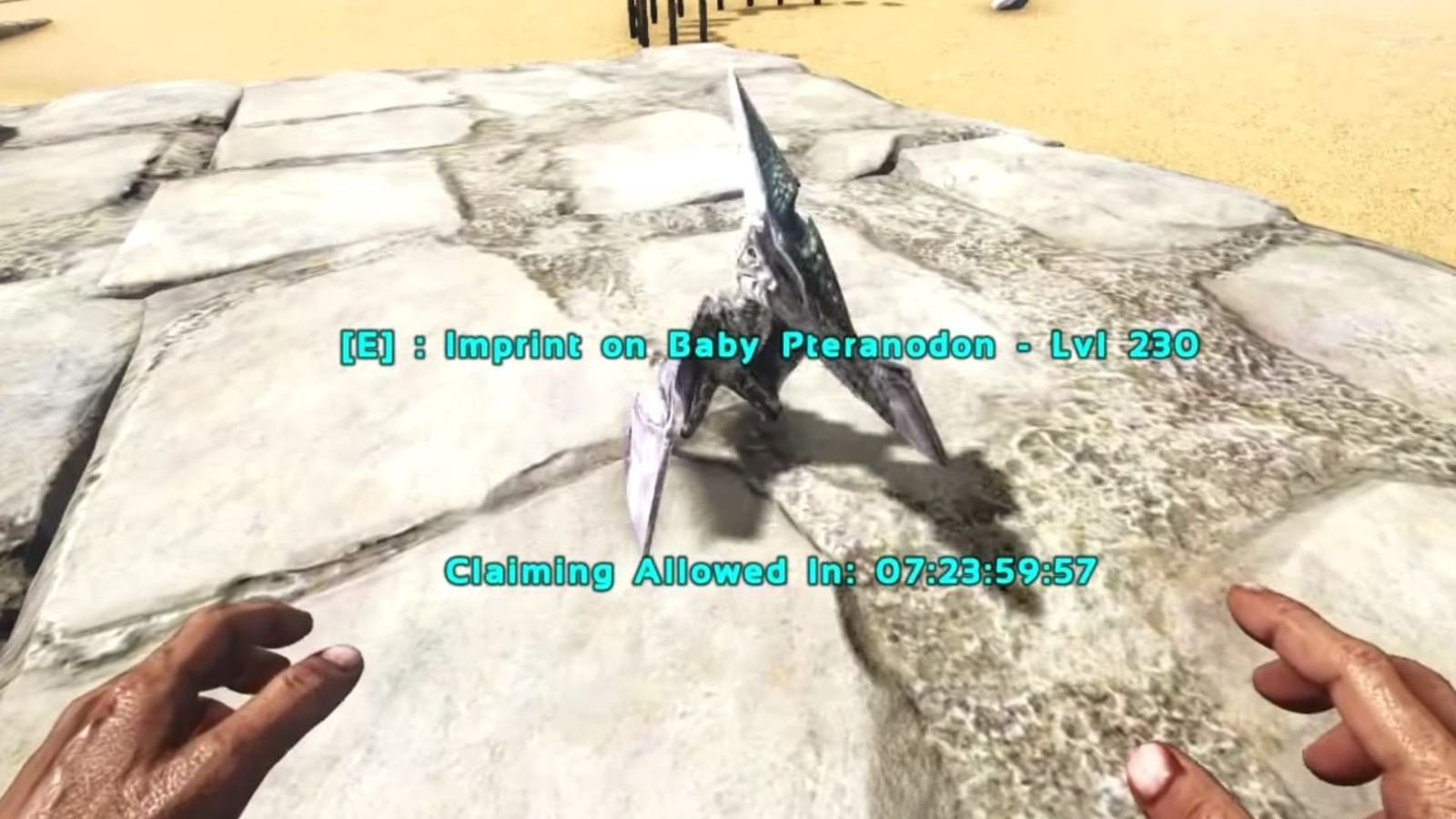 Ark Survival Ascended: How to hatch eggs?