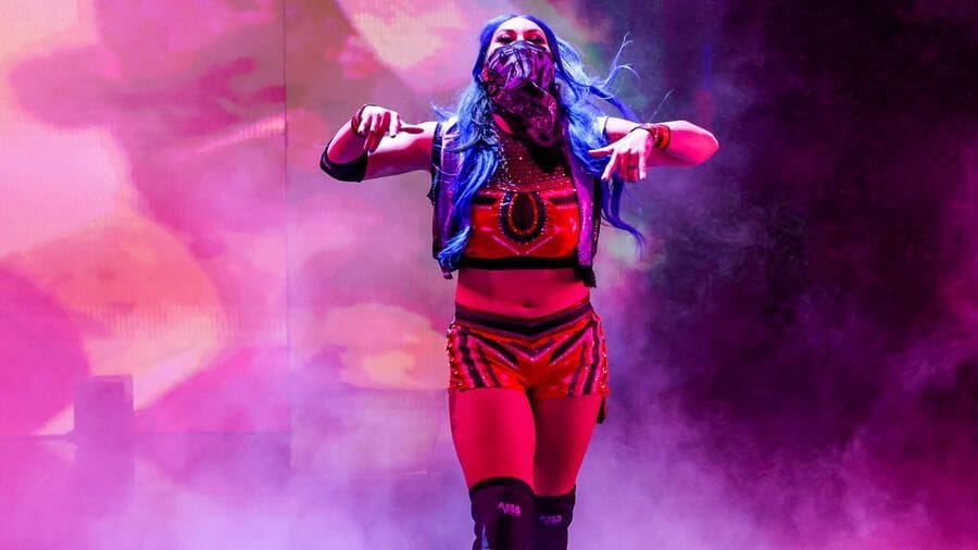 What is the Finisher and Theme Song of Michin in WWE