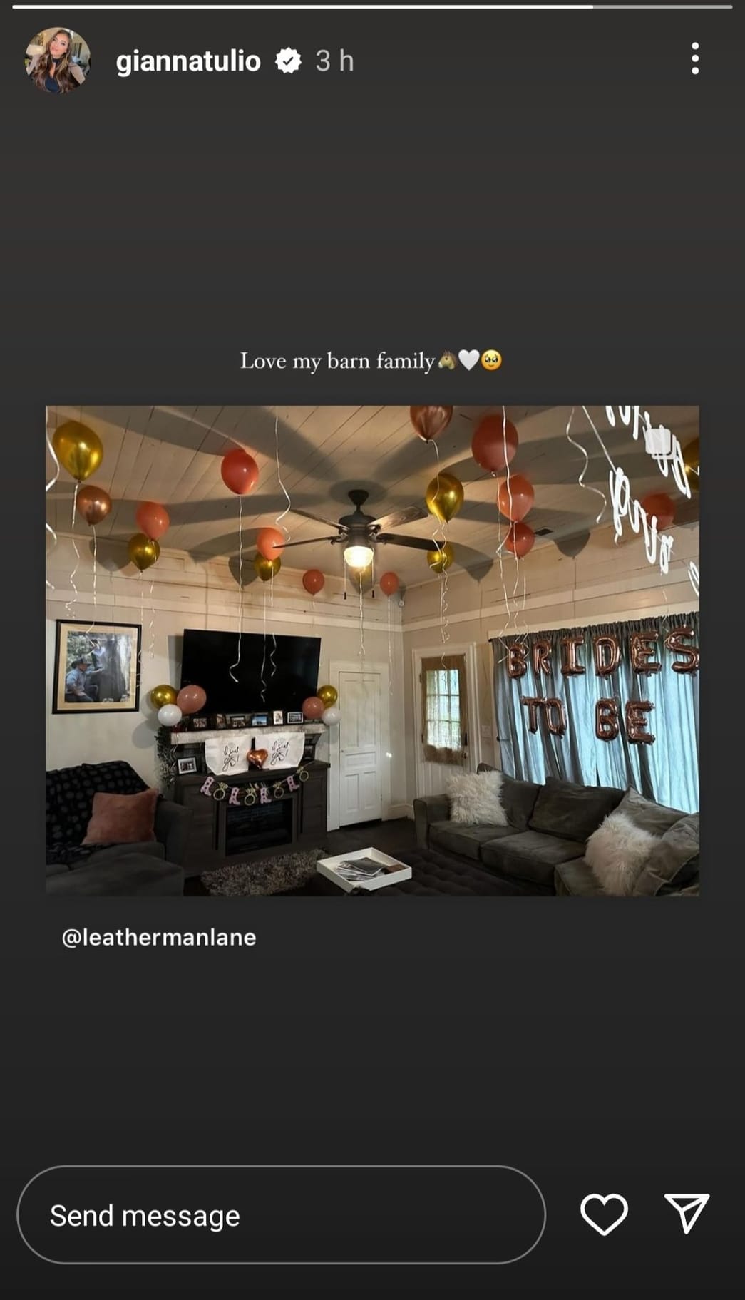 "Love my barn family" - Ryan Blaney's fiancée Gianna Tulio surprised by ...