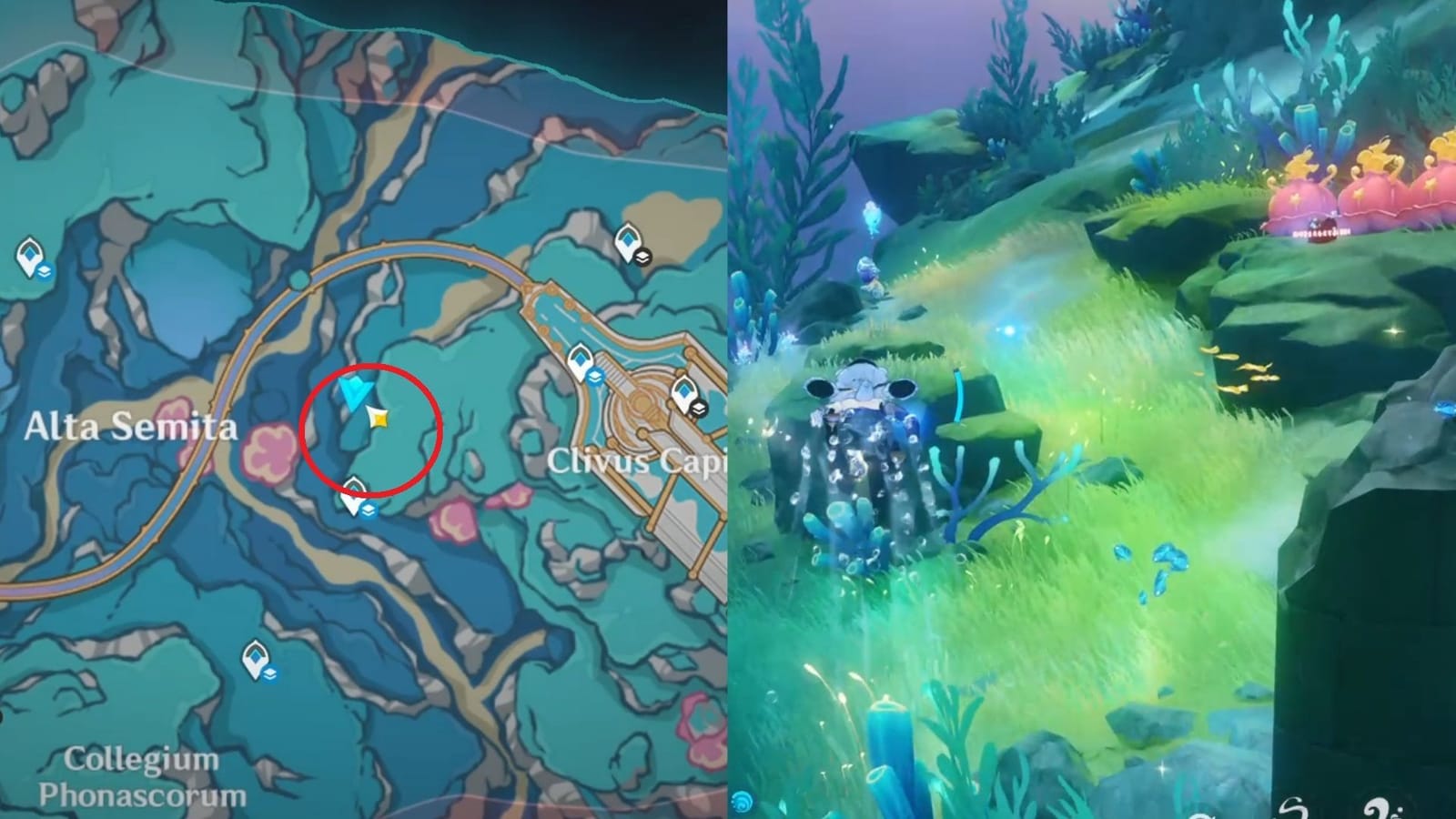 All 6 Luxurious Chests locations in Sea of Bygone Eras in Genshin Impact