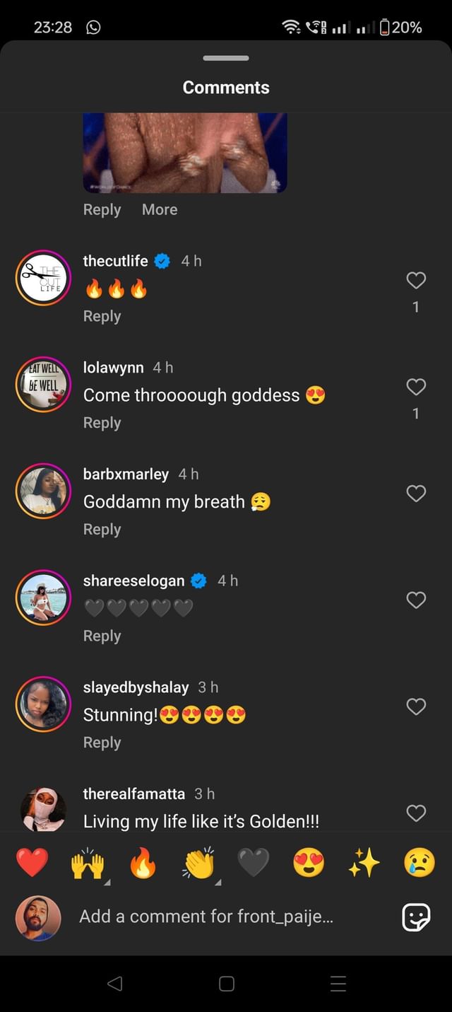 In Photos: James Harden's girlfriend Paije Speights turns heads in ...