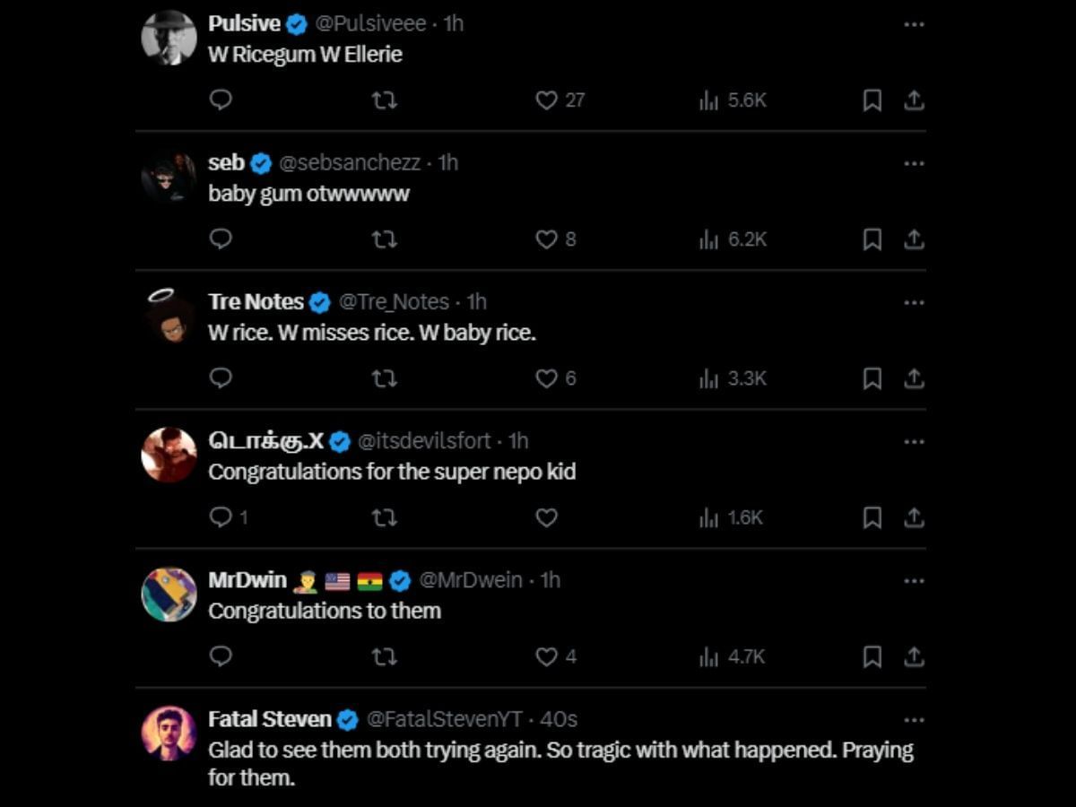 RiceGum and girlfriend Ellerie Marie expecting a child, a year after ...