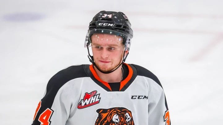 What is Andrew Basha’s Ethnicity?