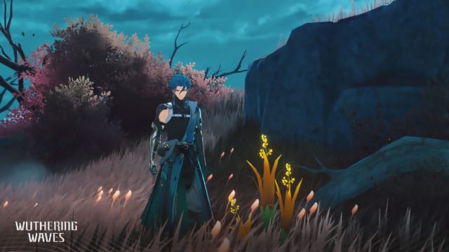 Wuthering Waves Pearl Leaf locations, farming routes, and uses