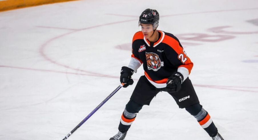 Cayden Lindstorm Ethnicity, What is Cayden Lindstorm's Ethnicity?