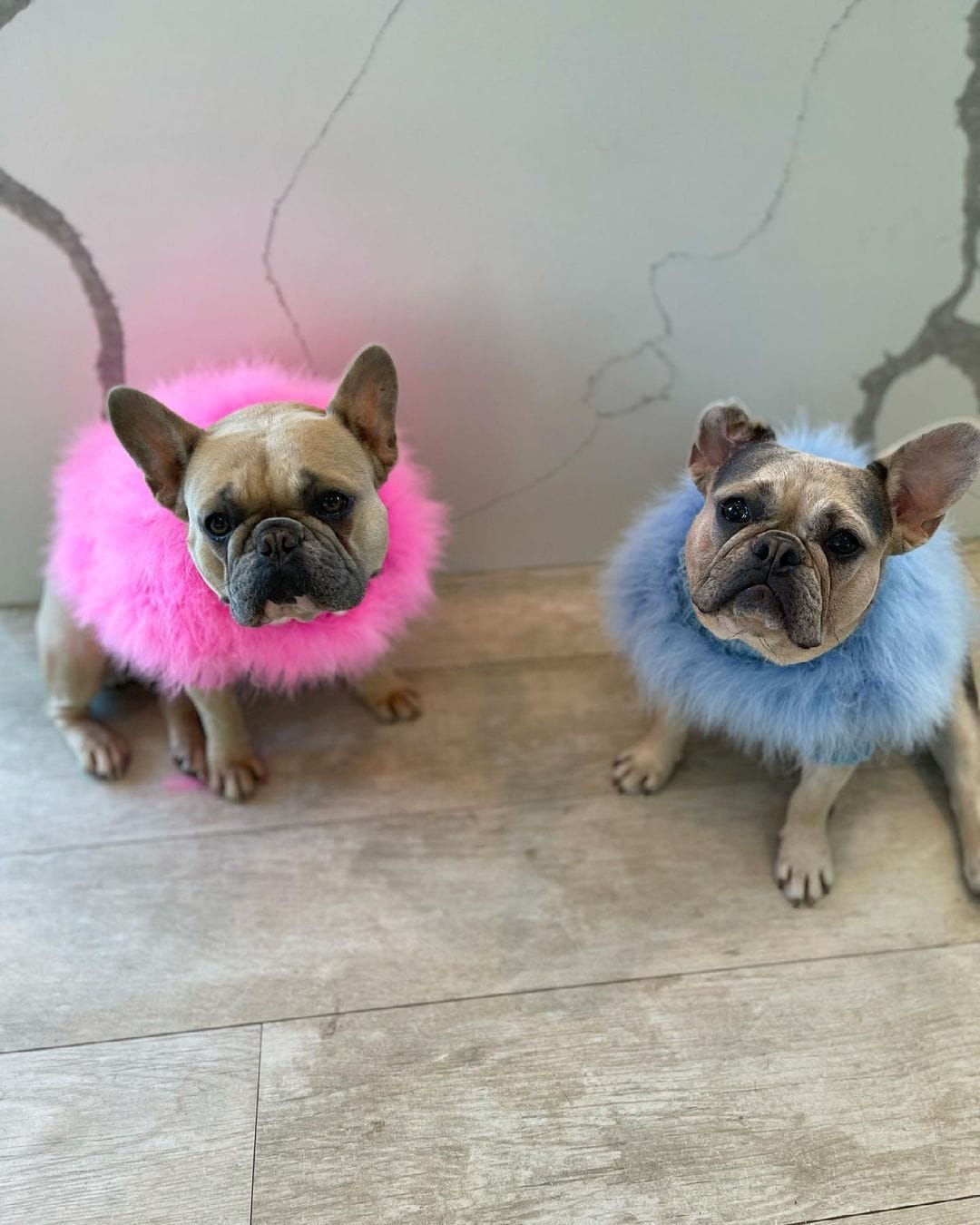 Who Are Simone Biles Family? Age, Nationality & More