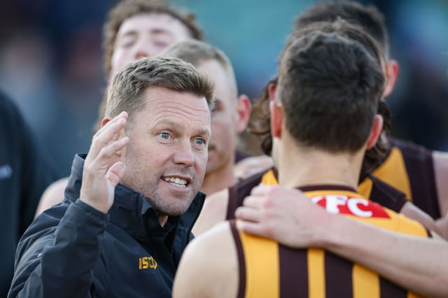 Hawthorn Hawks trio receive green light to return, young tall remains ...