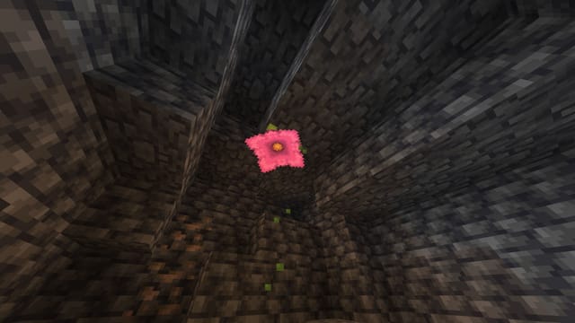 5 weirdest blocks in Minecraft