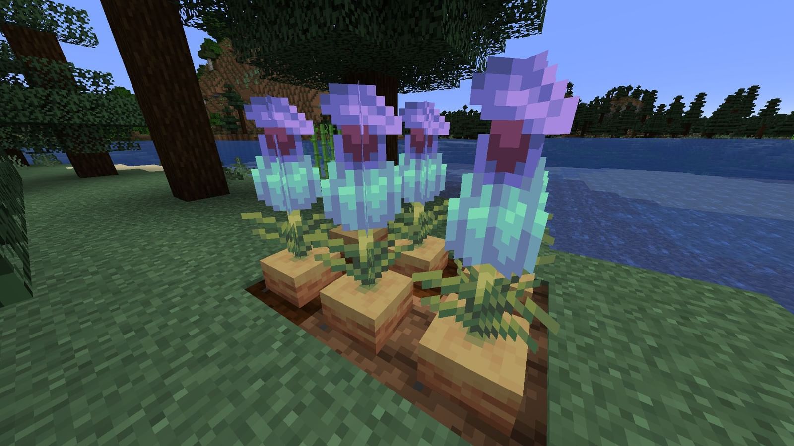 5 weirdest blocks in Minecraft