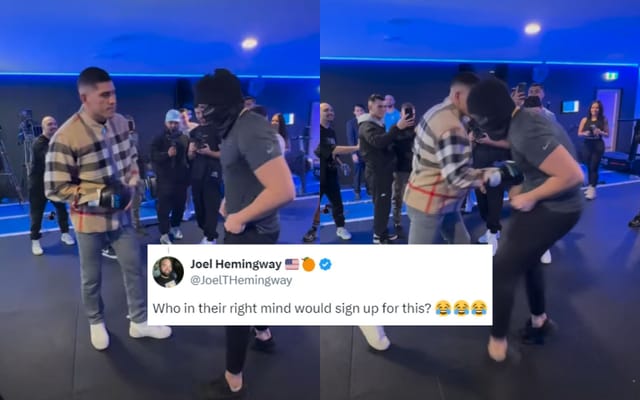 "Yea he definitely died after this" - Fans react to Alex Pereira ...
