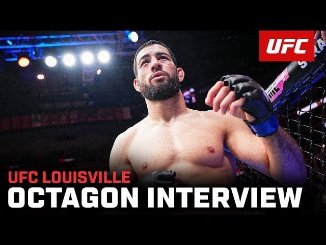 UFC Light Heavyweight Rankings & Current Champion - 2024