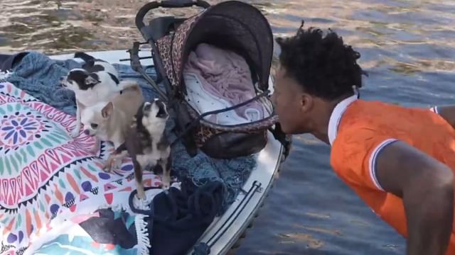 IShowSpeed barks at a stranger's dogs while streaming in the Netherlands