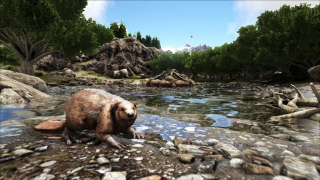 ARK Survival Ascended: Best Beaver Dam locations in The Center