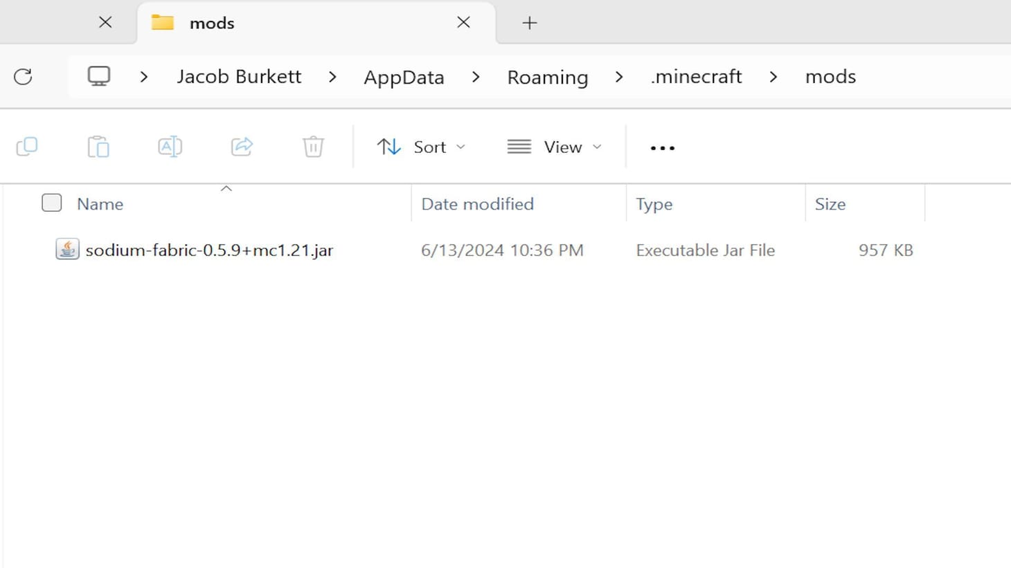 How to download Minecraft Sodium 1.21