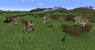 10 cutest mobs in Minecraft 1.21
