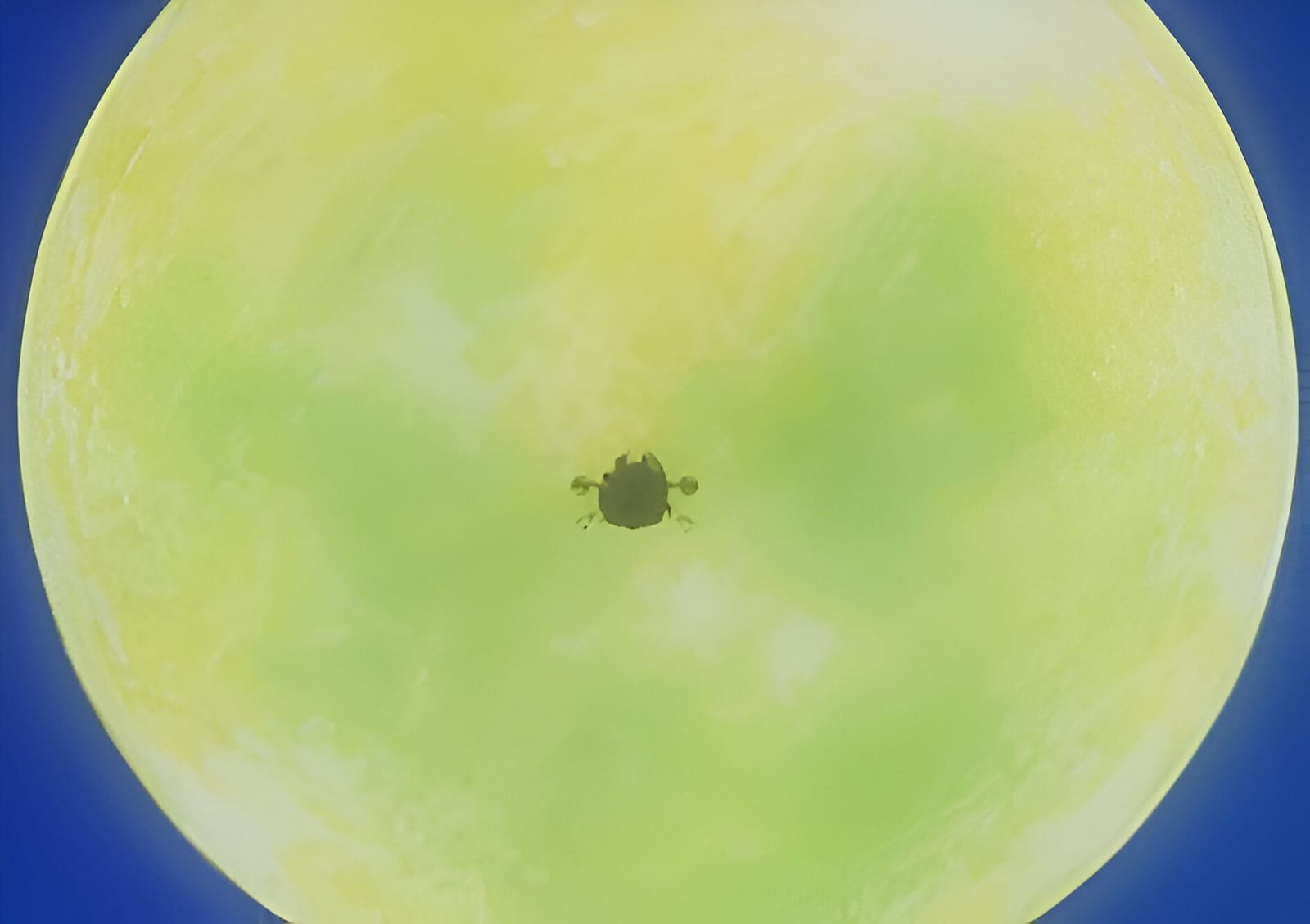 One Piece's Elbaf arc could finally see Enel's return to the mainline ...