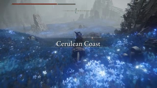 How to reach Cerulean Coast in Elden Ring Shadow of the Erdtree