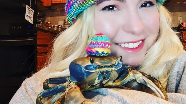 Who is Howie the Crab? Owner shares video of viral TikTok pet’s ...