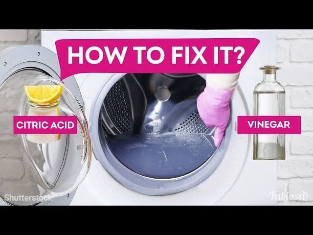 What are Fabiosa Best Life Hacks?