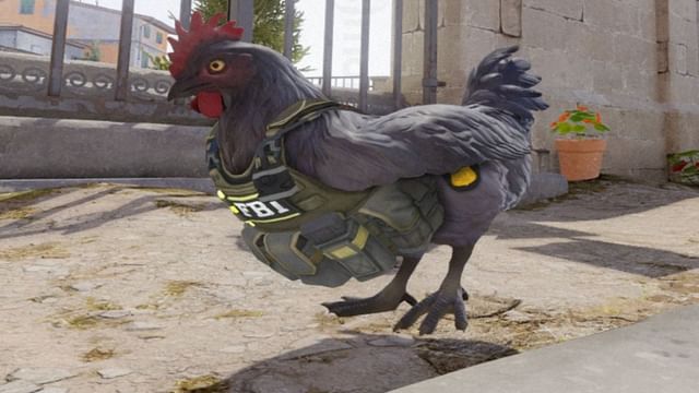 CS2: CS2 fans want chicken skins to become a reality after inspect ...