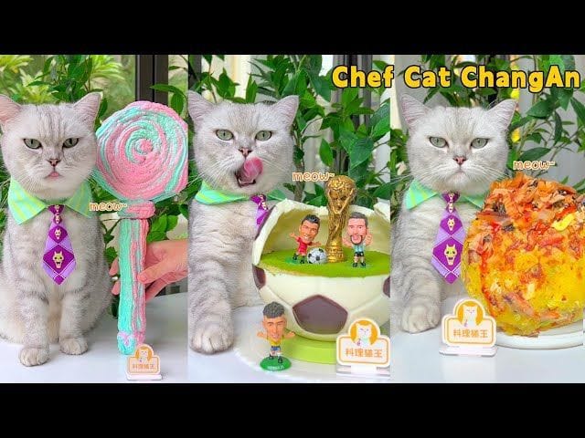 Who is Chef CatChangAn?