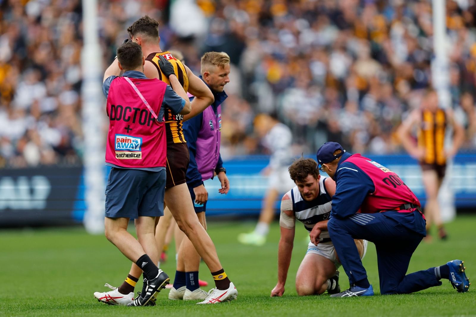 AFL Injury News: Hawthorn Hawks veteran suffers fresh setback as he ...