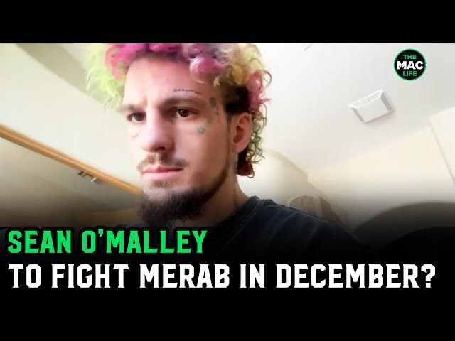 Conor McGregor: Sean O'Malley answers if he has squashed beef with Conor McGregor