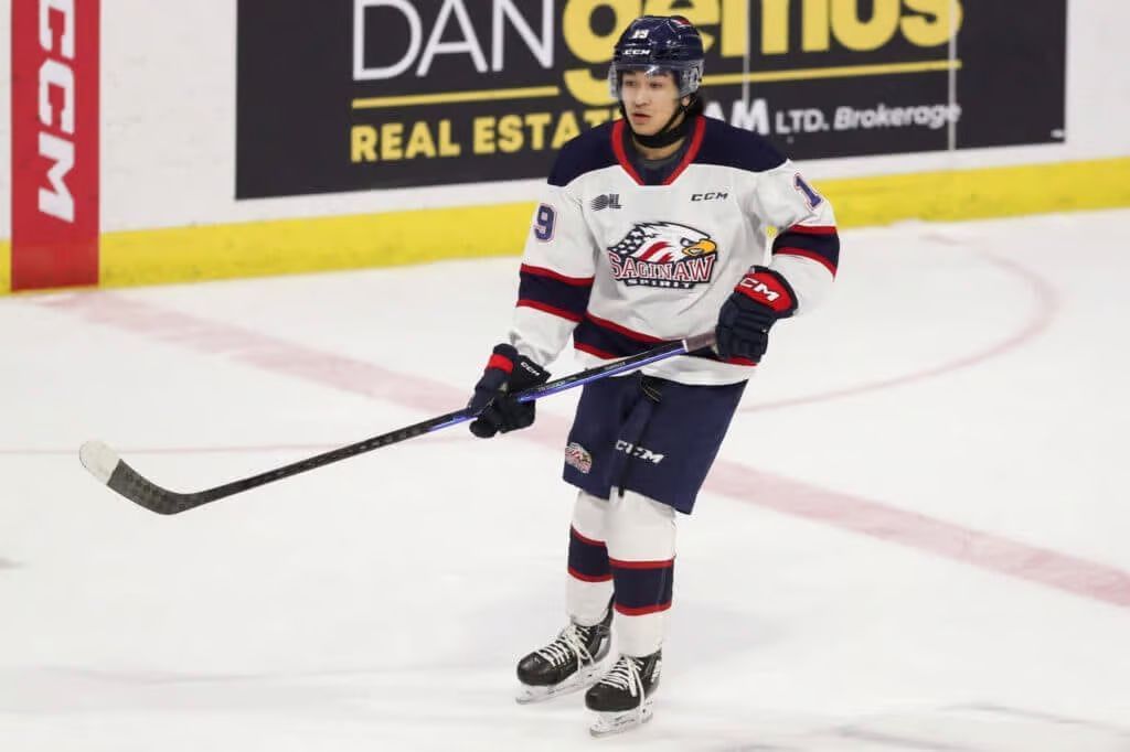 Zayne Parekh Ethnicity, What is Zayne Parekh's Ethnicity?