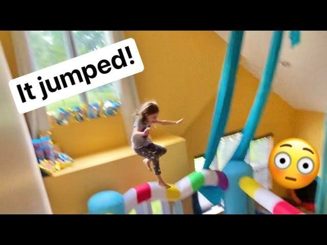 Who is The McFive Circus?