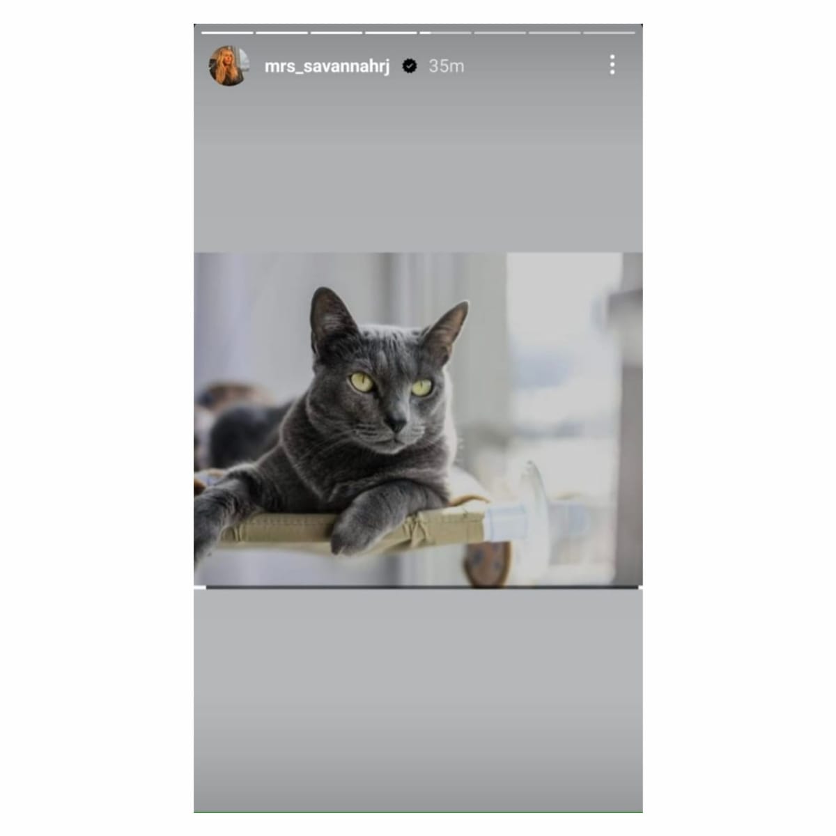 LeBron James' wife Savannah James pokes fun at Team USA superstar while ...