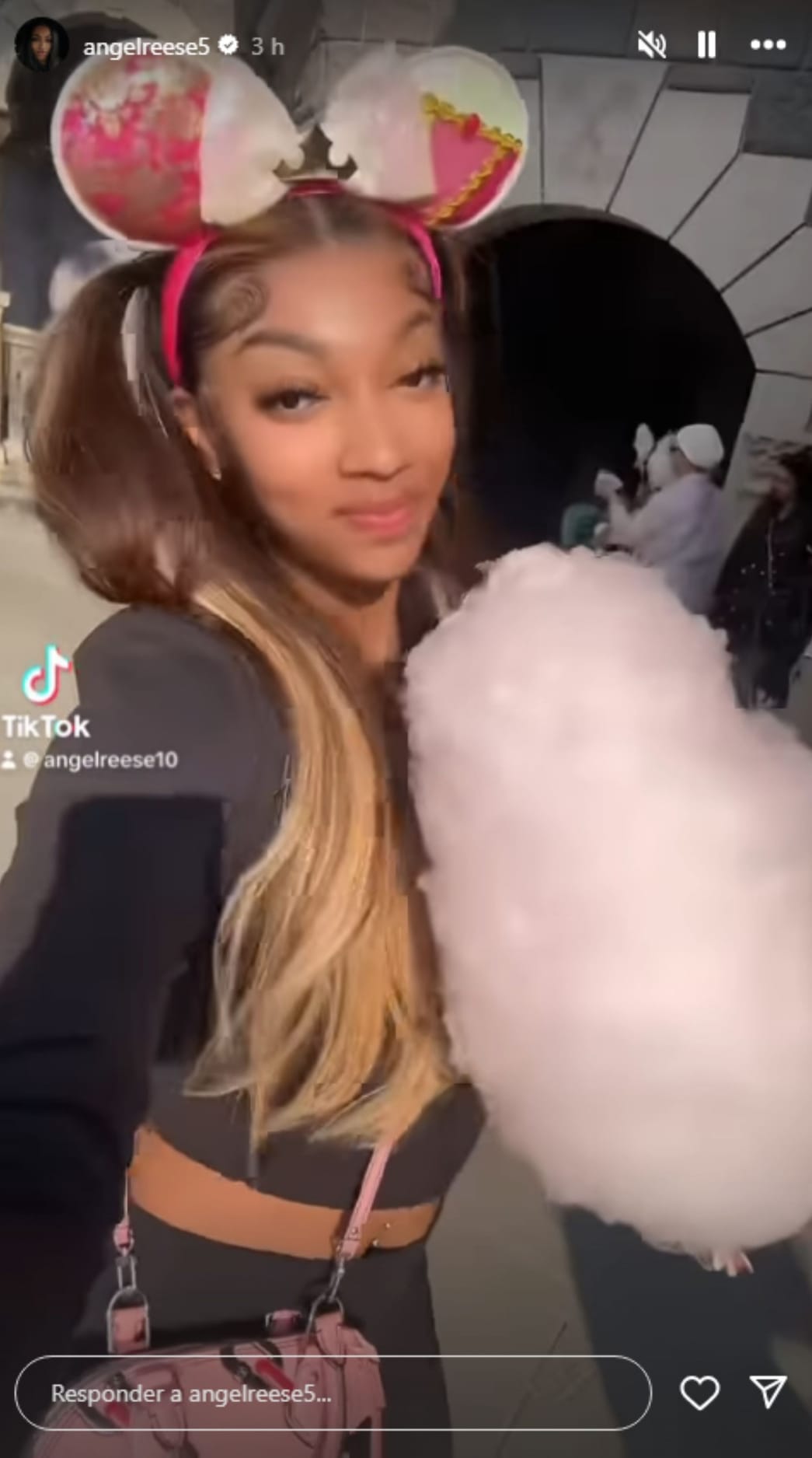 In Photos: Angel Reese rocks Mickey ears with $2,396 LV bag and $1,600 ...