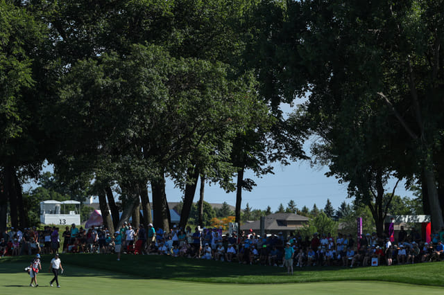 Who is playing the 2024 3M Open? Full field explored