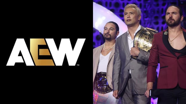 Two more stars join Team AEW against The Elite for Blood and Guts 2024