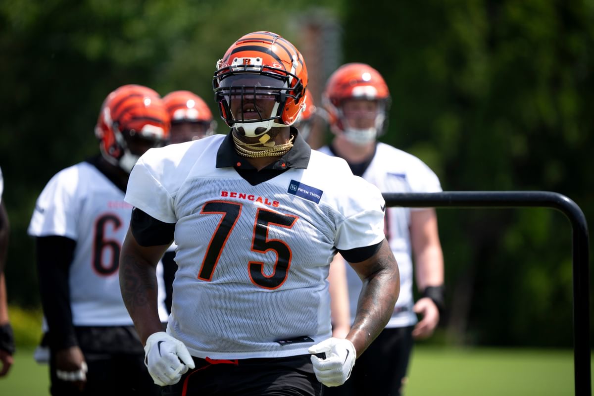 Ranking the 5 most crucial players on 2024 Bengals roster feat. Joe ...