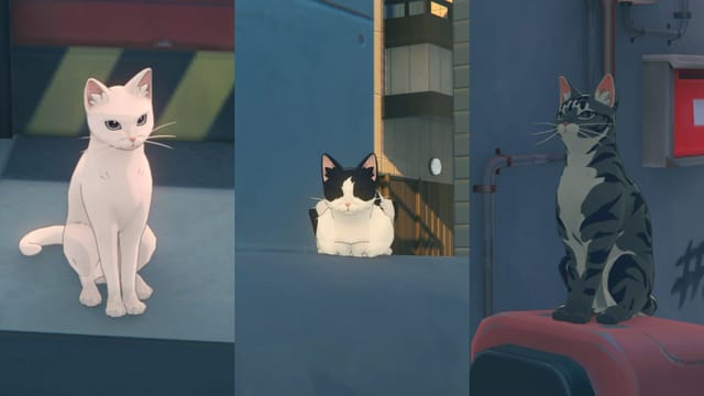 Zenless Zone Zero cat picture locations