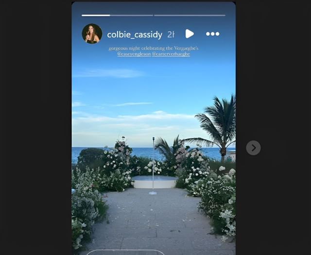 In Photos: Carter Verhaeghe and wife Casey's dream wedding attended by ...