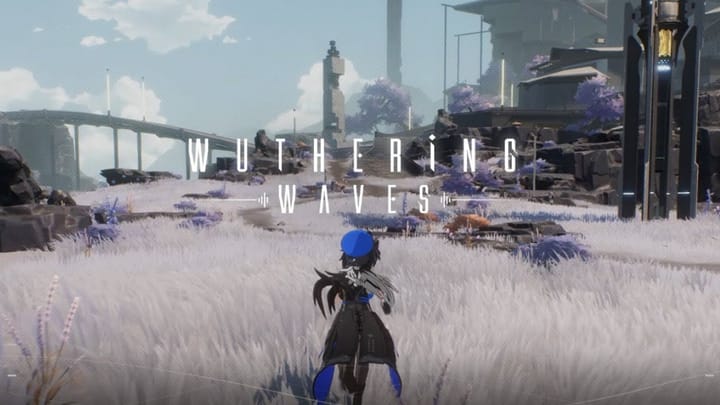 Best Wuthering Waves graphics settings for low-end PCs