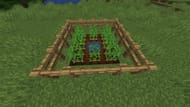 5 best crops to farm in a new Minecraft world