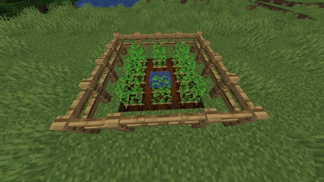 5 best crops to farm in a new Minecraft world