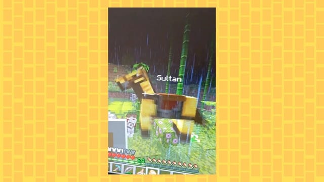Minecraft player discovers a weird bug to create a floating water block