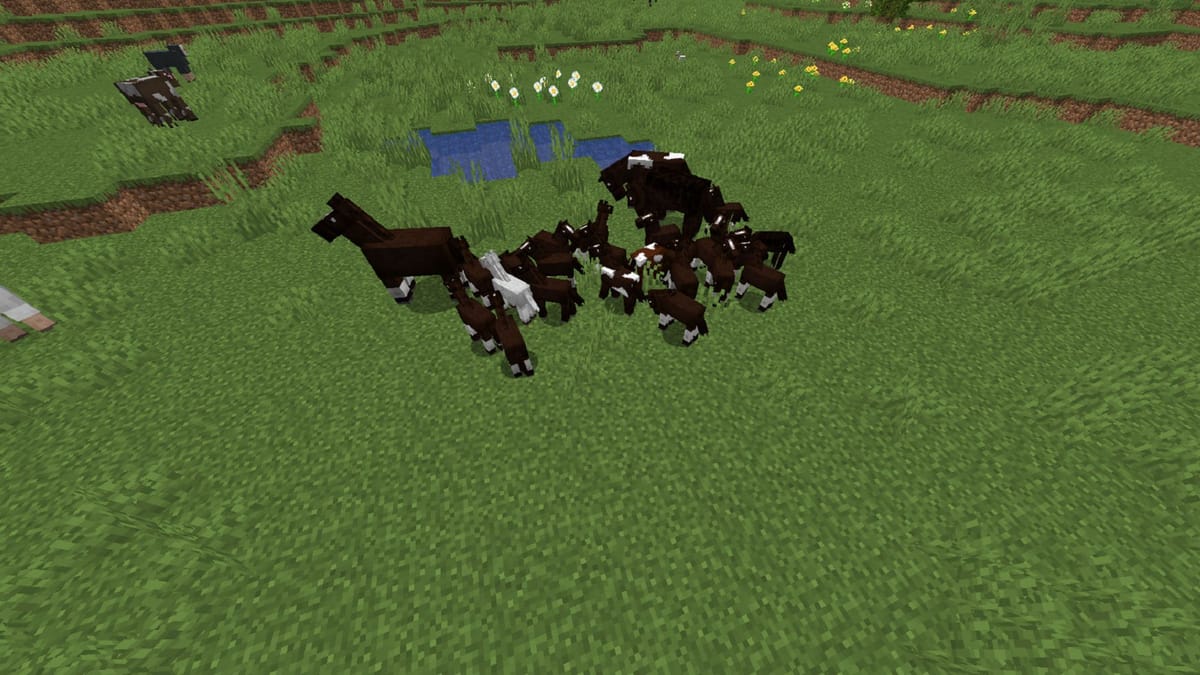 Minecraft horse taming guide: All you need to know