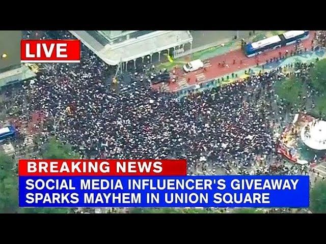 All AMP members in 2024, ranked by popularity