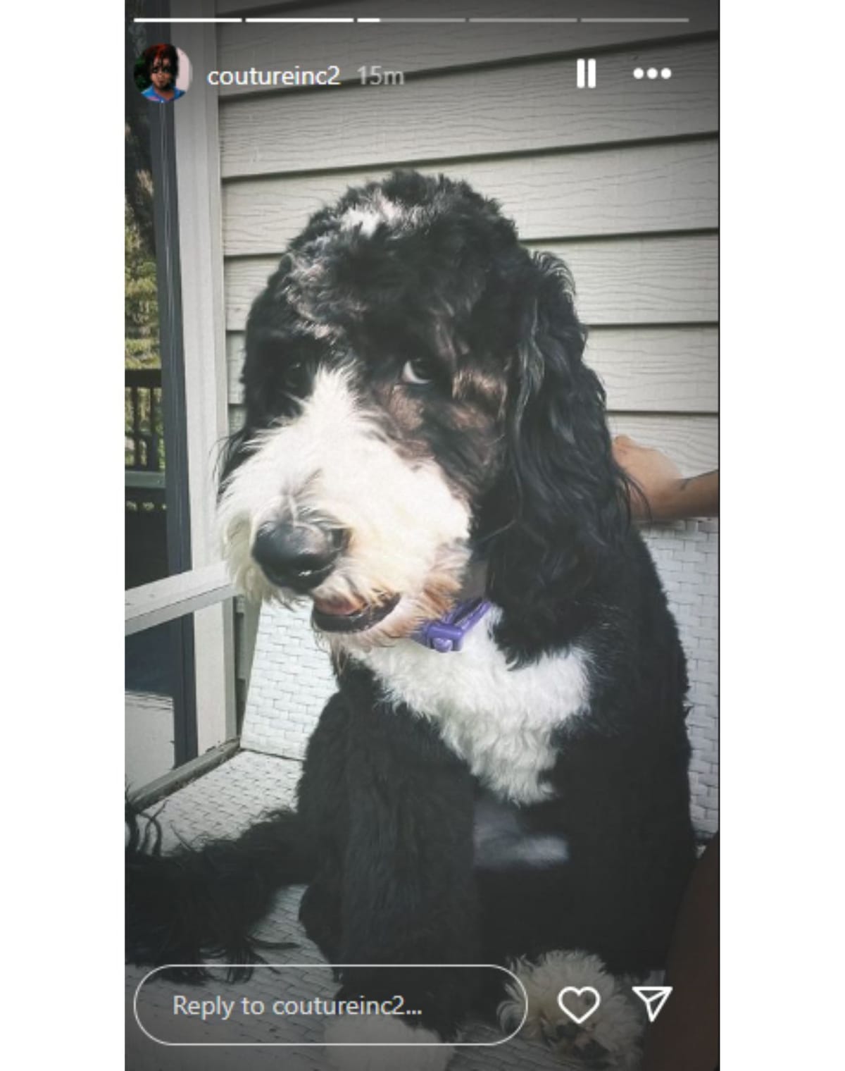 Anthony Edwards' baby mama Jeanine Robel enjoys the summer at Lake ...