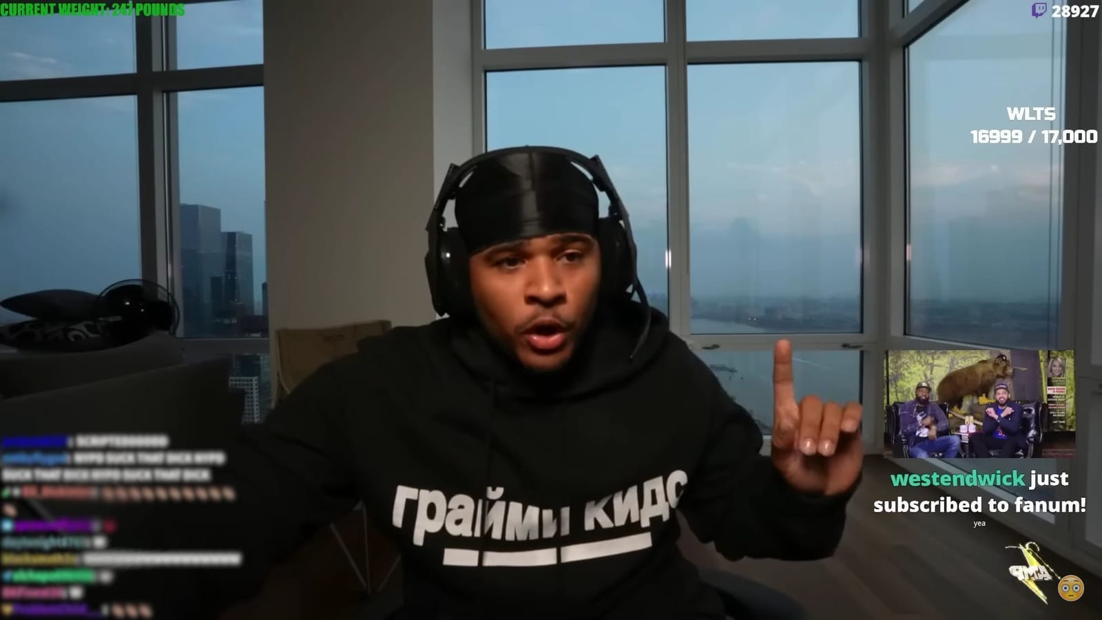 All AMP members in 2024, ranked by popularity