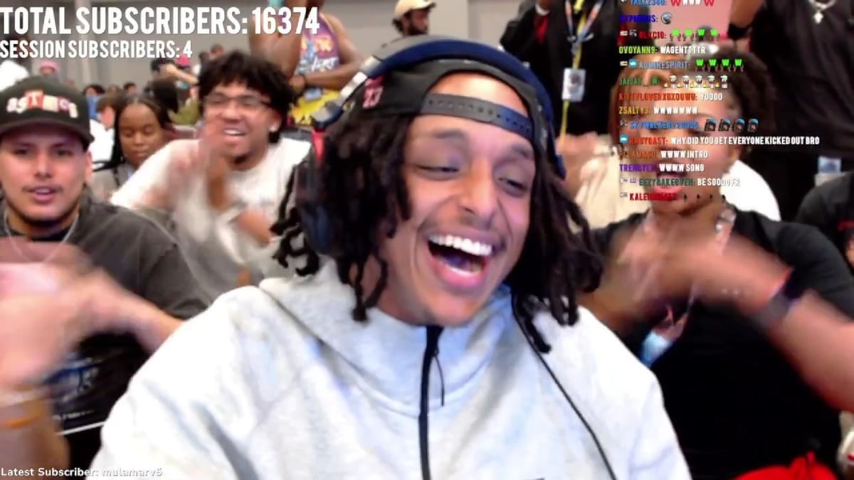 All AMP members in 2024, ranked by popularity