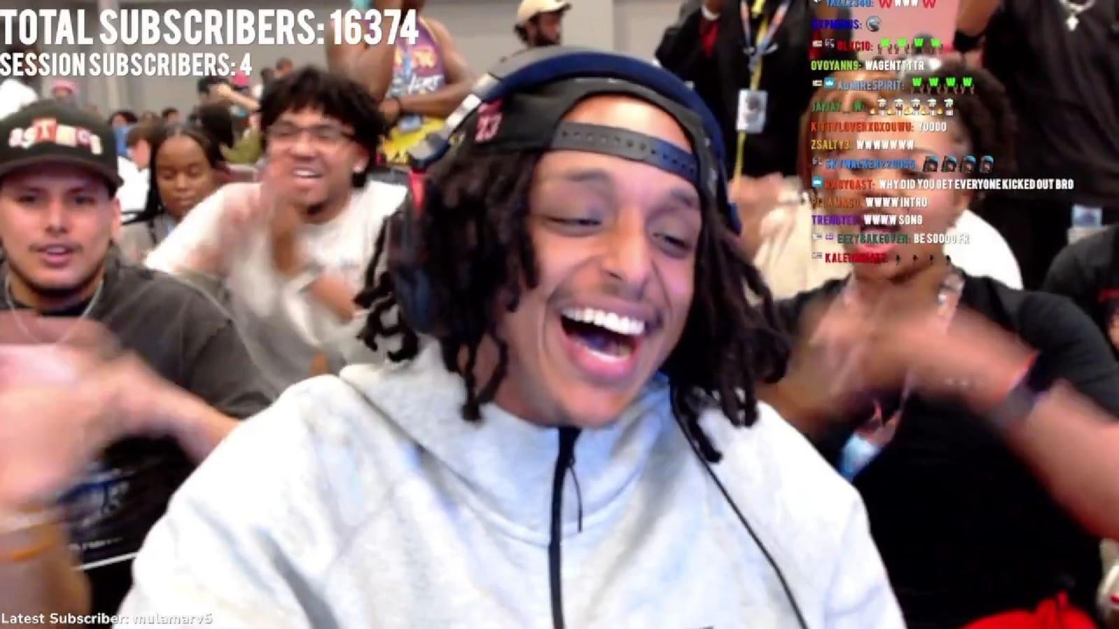 All AMP members in 2024, ranked by popularity